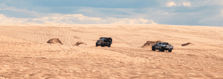 Torqit Throttle Controller for Suzuki Jimny: Better Performance | Torqit