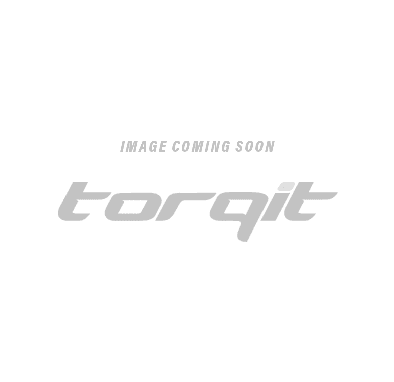 Power Module 4WD Performance Chip for Next-Gen 2L Ranger | Torqit